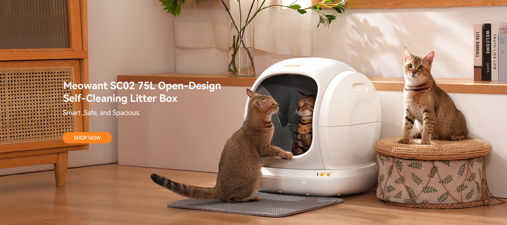 Meowant - For You and Your Furry Friends Want