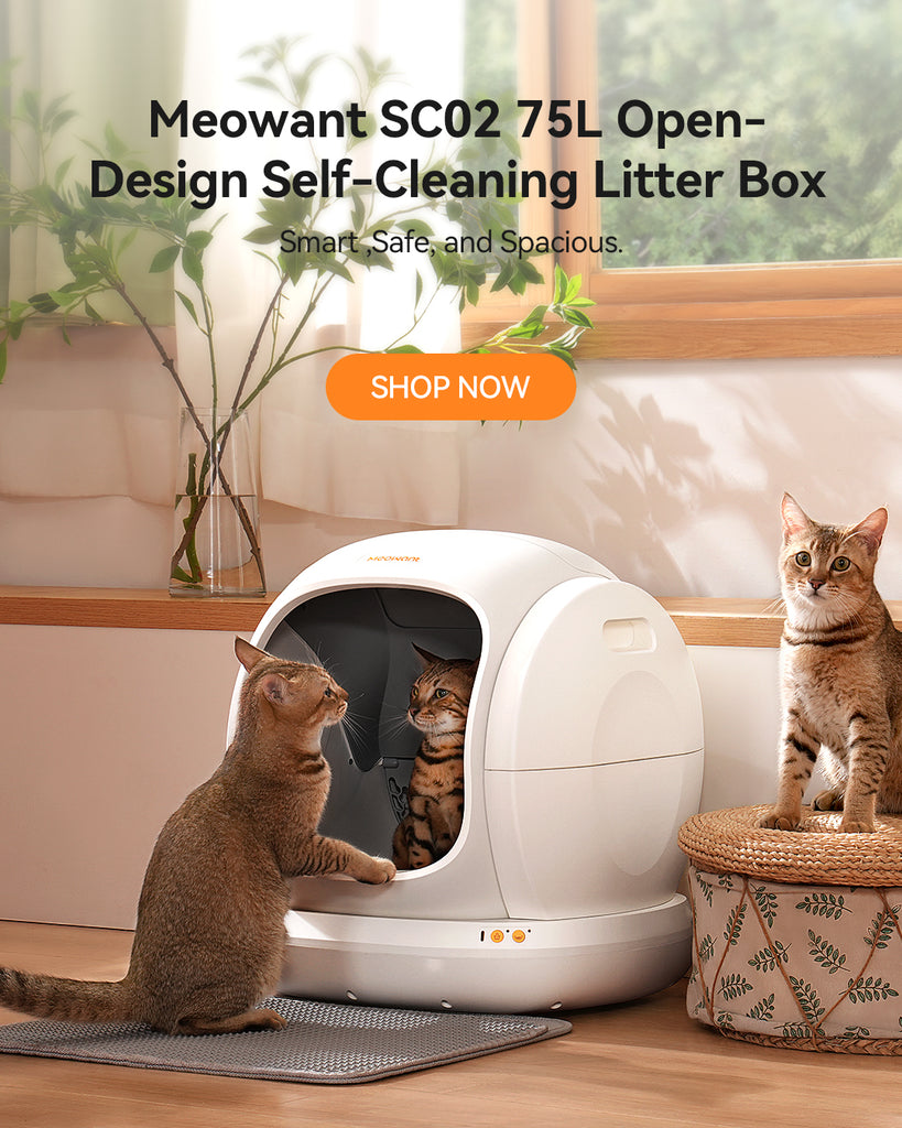 Meowant - For You and Your Furry Friends Want