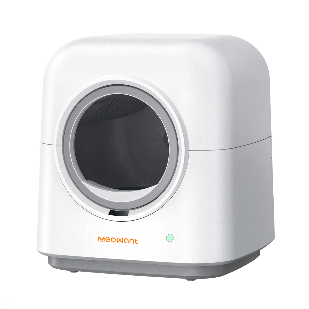 all – Meowant