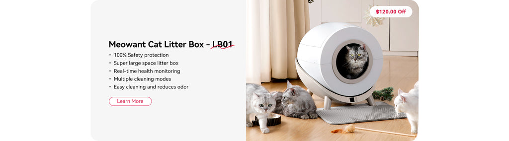 MeoWant - For You and Your Furry Friends Want – Meowant
