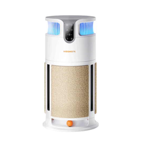 For You and Your Furry Friends Want | Meowant