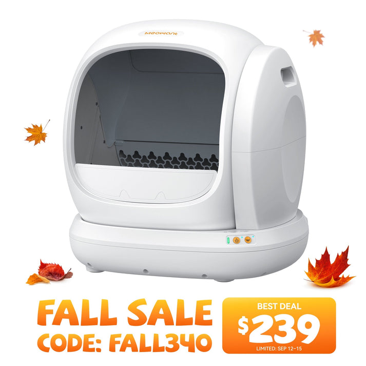 Meowant SC02 Self-Cleaning Cat Litter Box | Meowant