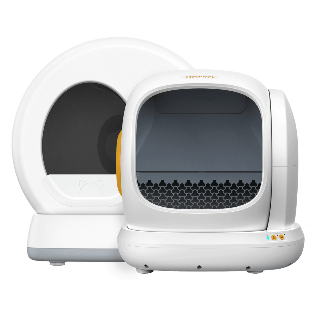 Smart Self-Cleaning Cat Litter Boxes | Odor Control – Meowant